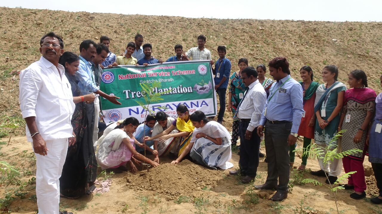 Tree Plantation